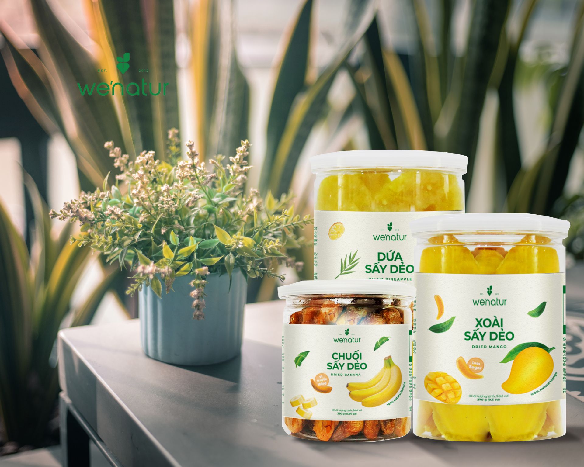 Tổng hợp những loại trái cây sấy dẻo thơm ngon siêu giàu dưỡng chất